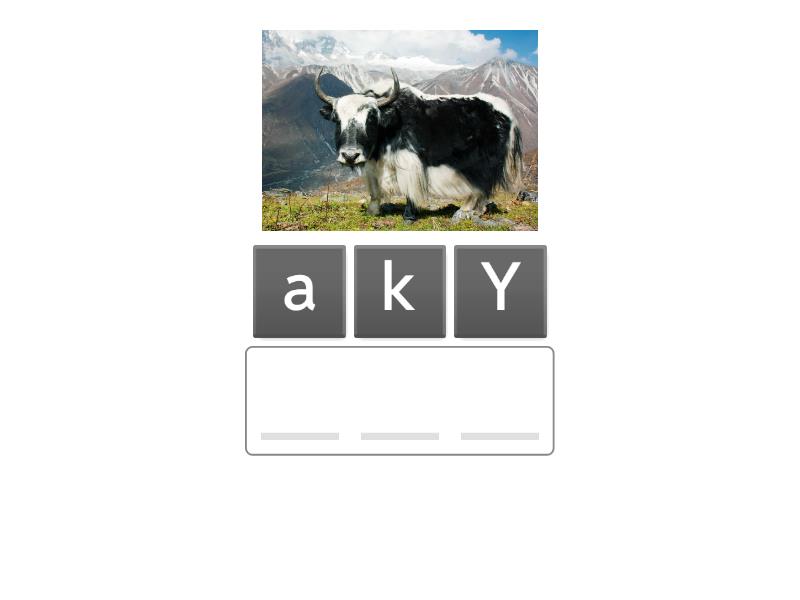 Oxford Phonics 2 - Anagram