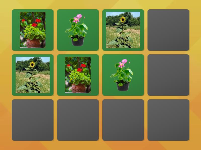 Memory gamev - Plants - Matching pairs