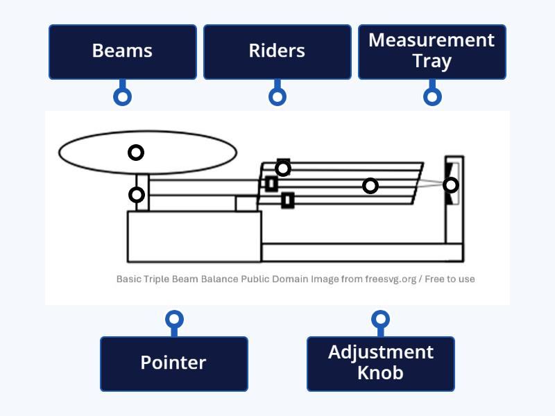 Triple Beam Balance Labeling - Labelled diagram