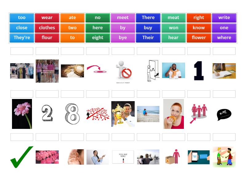 Homonym Word Match - Match up