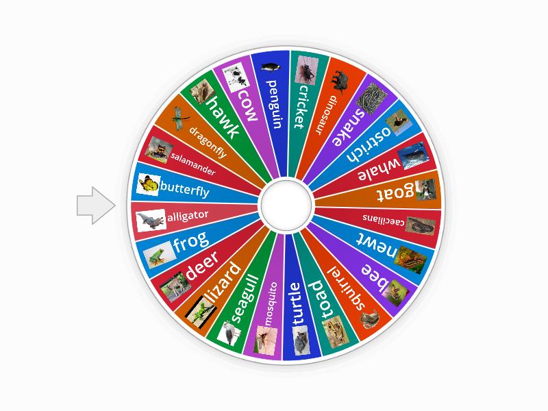 : Mammals, Birds, fish, Reptiles, Insects, Amphibians - Spin the wheel