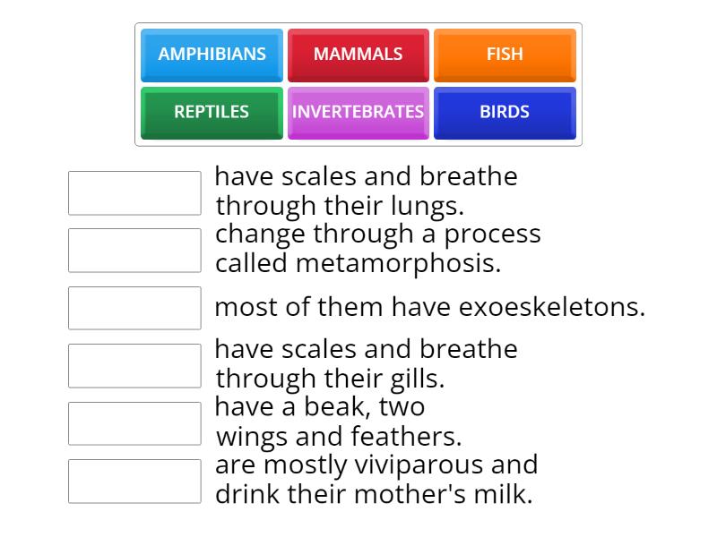 Animal groups characteristics. - Match up