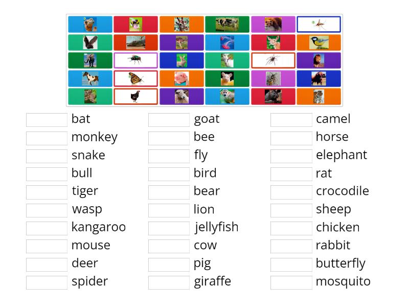 NEF pre int 9A Animals - Match up