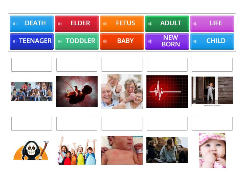 STAGES OF LIFE - Match up