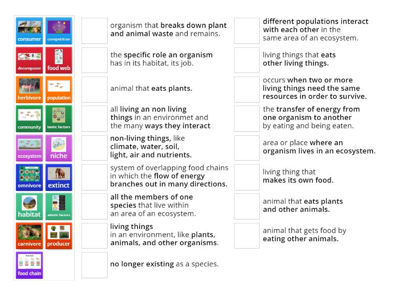 Unit 5 Ecosystems Vocabulary Words - Match up