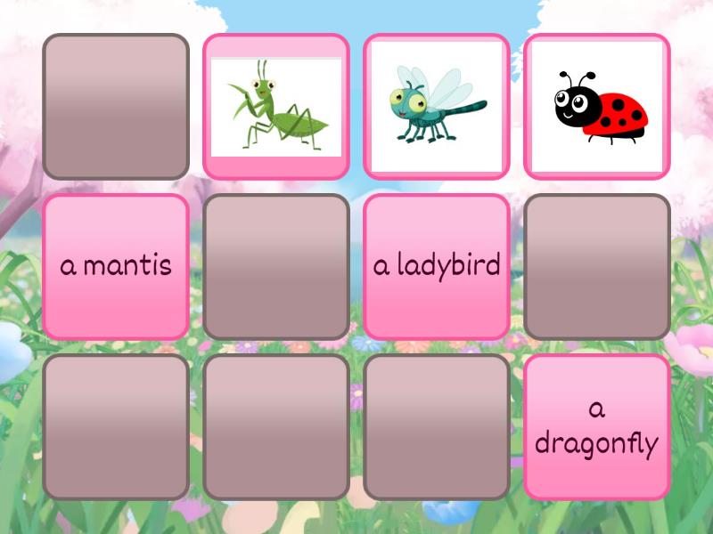 2nd grade - Matching pairs