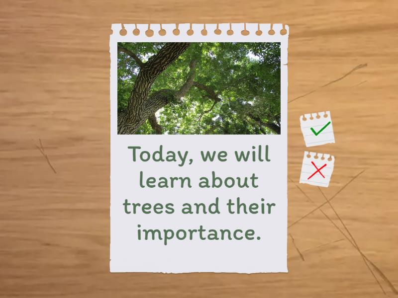 Thuyết trình - Trees and Their Importance - Tiểu học. - Flash cards