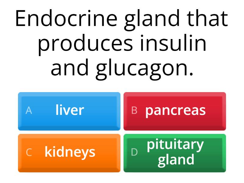 Blood glucose regulation - Quiz