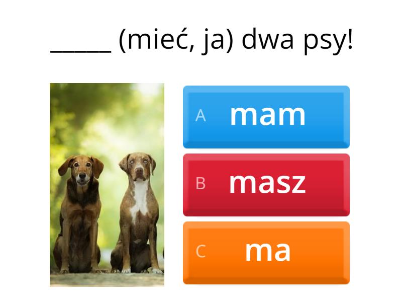Koniugacja -m, -sz - Quiz
