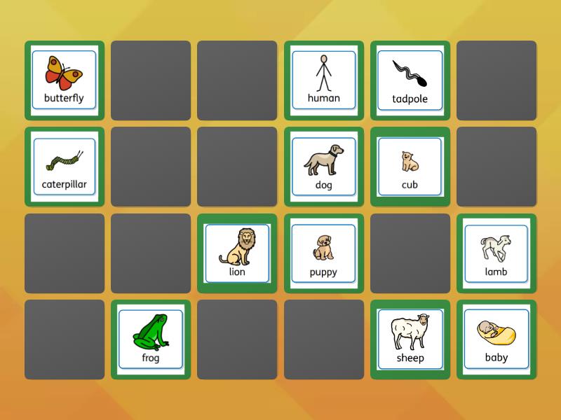 Match the adult and the offspring - Matching pairs