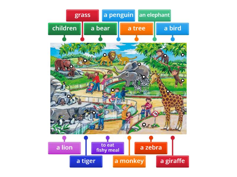 Zoo - Labelled diagram