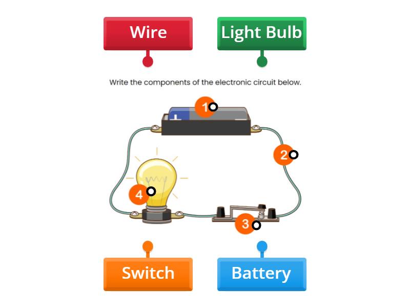Circuit activity - Labelled diagram