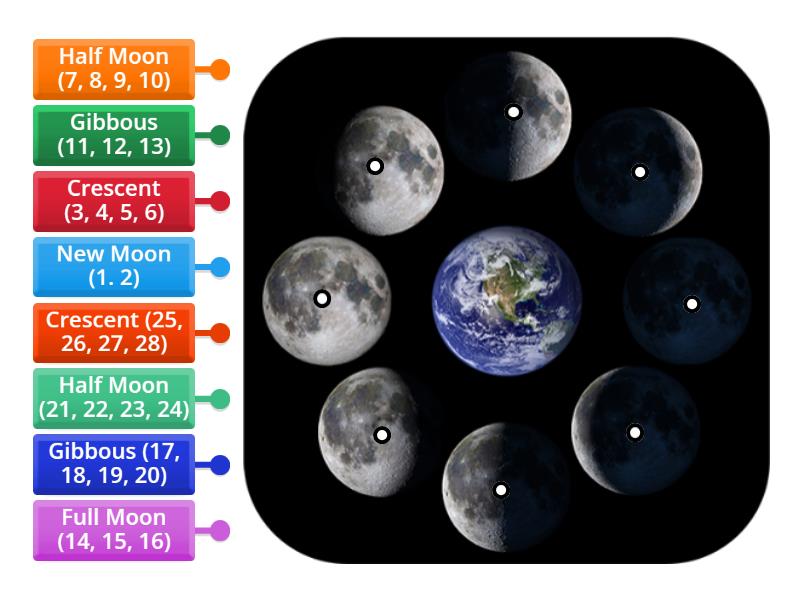 28-Phases of the Moon - Labelled diagram