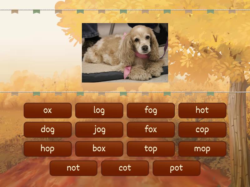 sounds great 2 unit 6 - Find the match