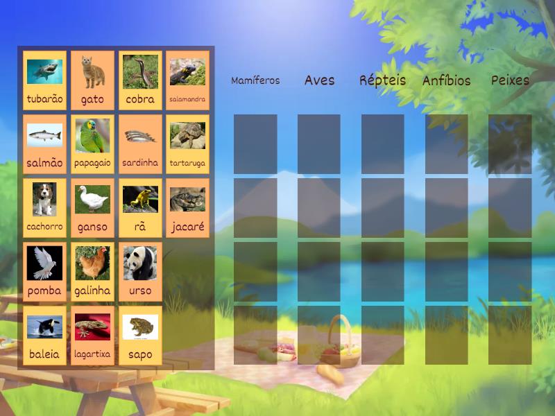 Animais vertebrados - Group sort