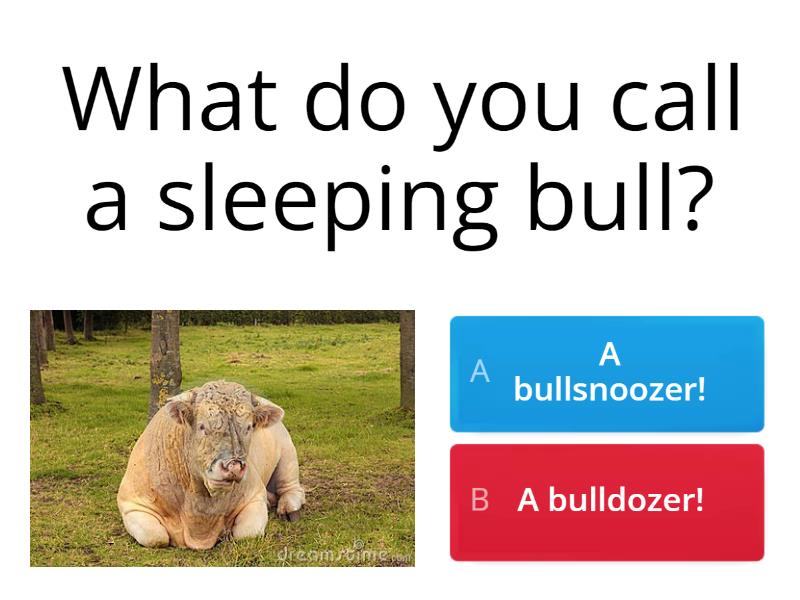 Jokes and puns - Quiz