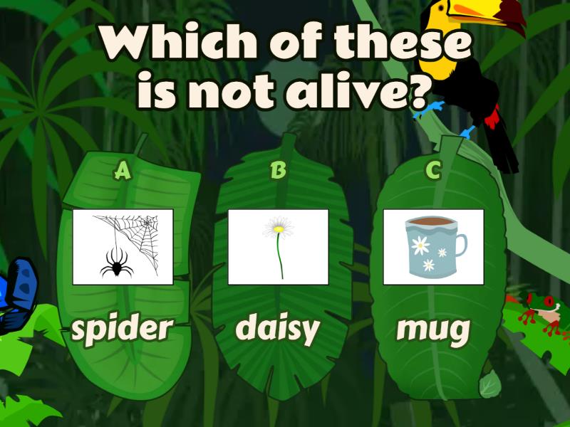 Alive or not! - Quiz