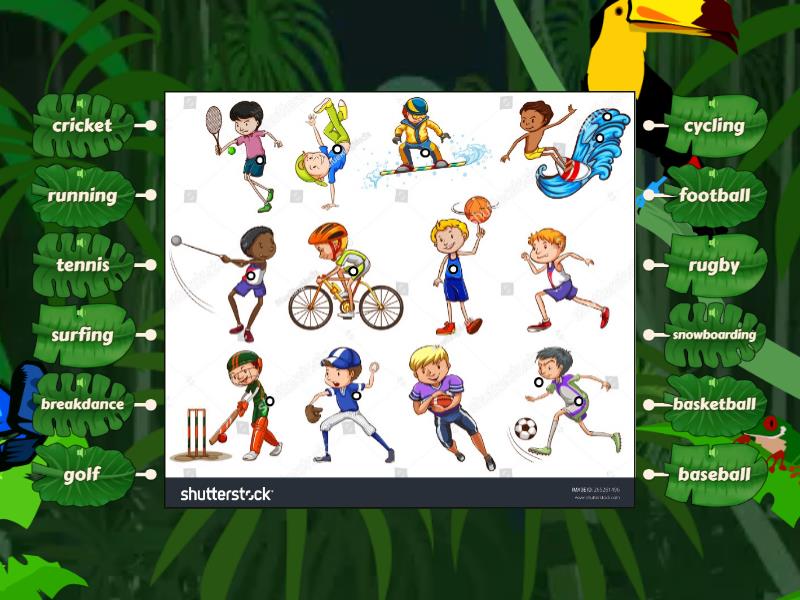 SPORTS - Labelled diagram