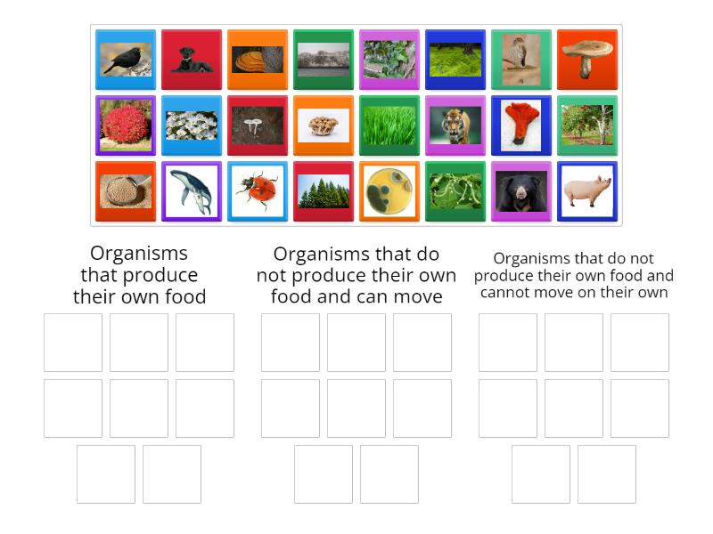 Living organisms - Group sort