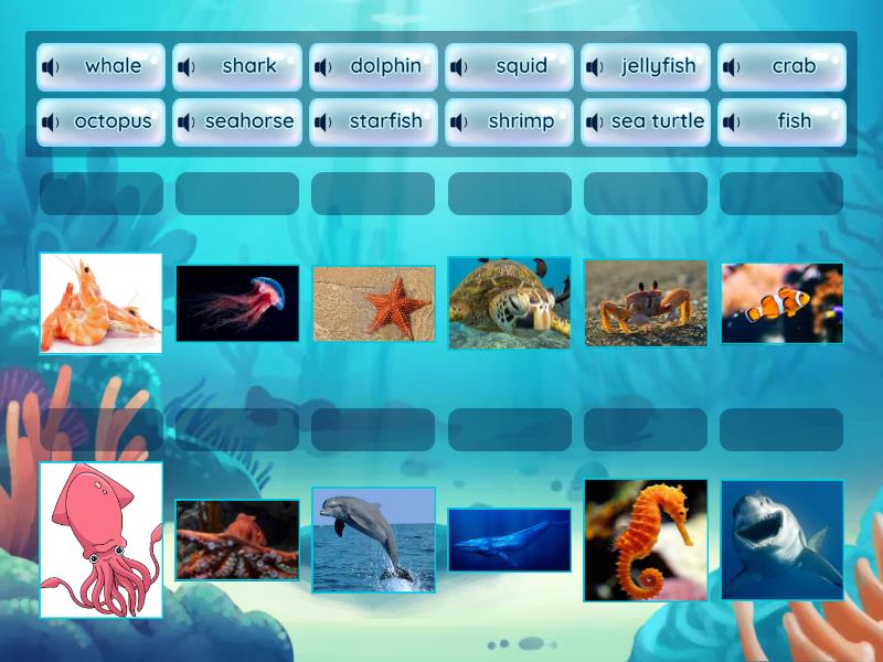 sea animals - Match up