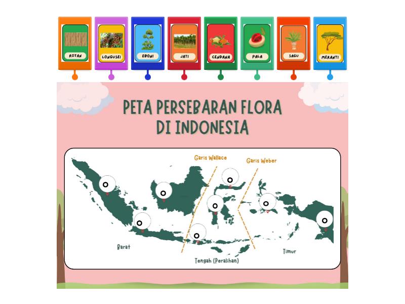 Persebaran Flora di Indonesia - Labelled diagram