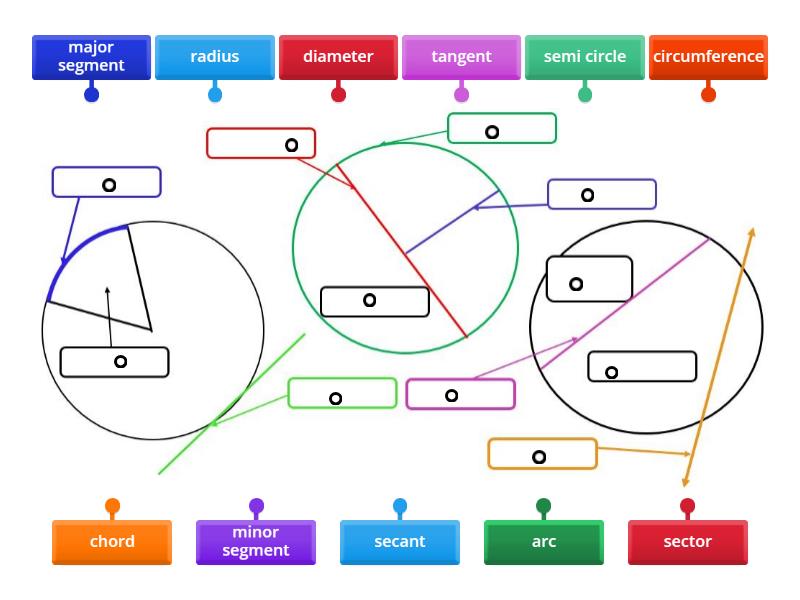Parts Of A Circle Part 1 Labelled Diagram 