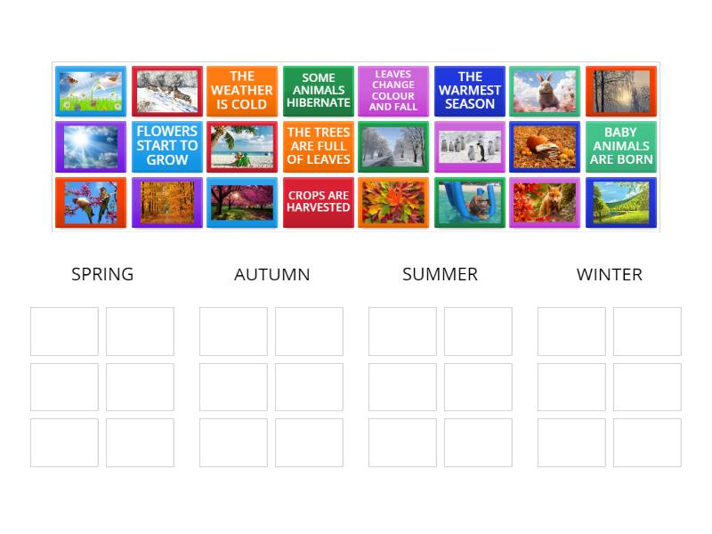 SEASONS - Group sort