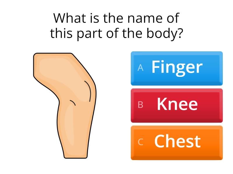 BODY PARTS VOCABULARY - Quiz