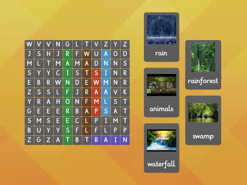Rainforest - Wordsearch