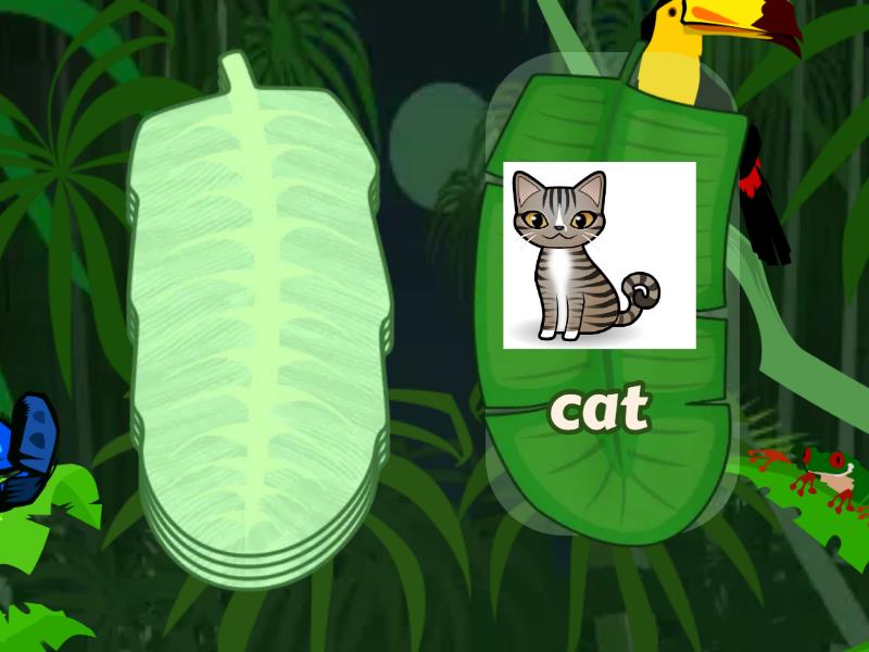 My Pets - Speaking cards