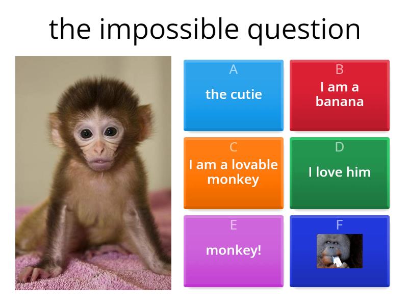 name that meme - Quiz