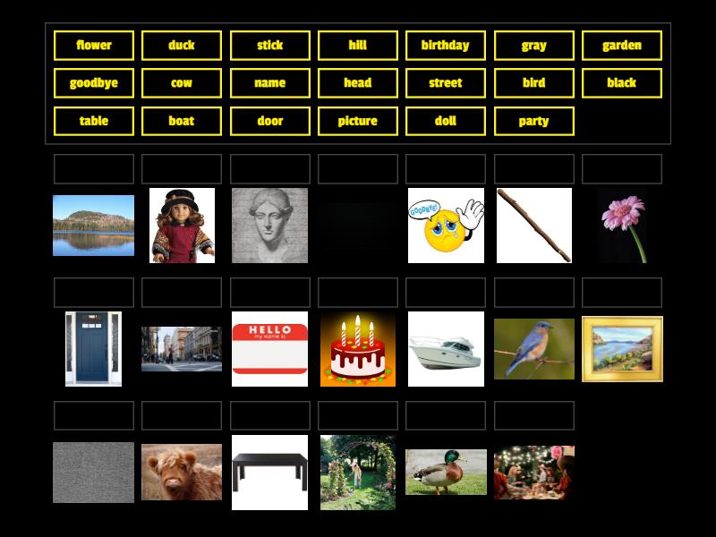 Dolch Sight Nouns - List 4 - Match up