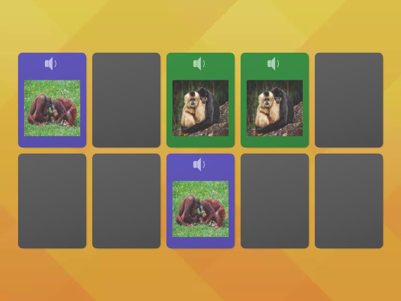 Monkey Activities - 2 - Matching pairs