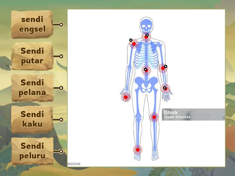 Soal Memasangkan Sendi - Labelled diagram