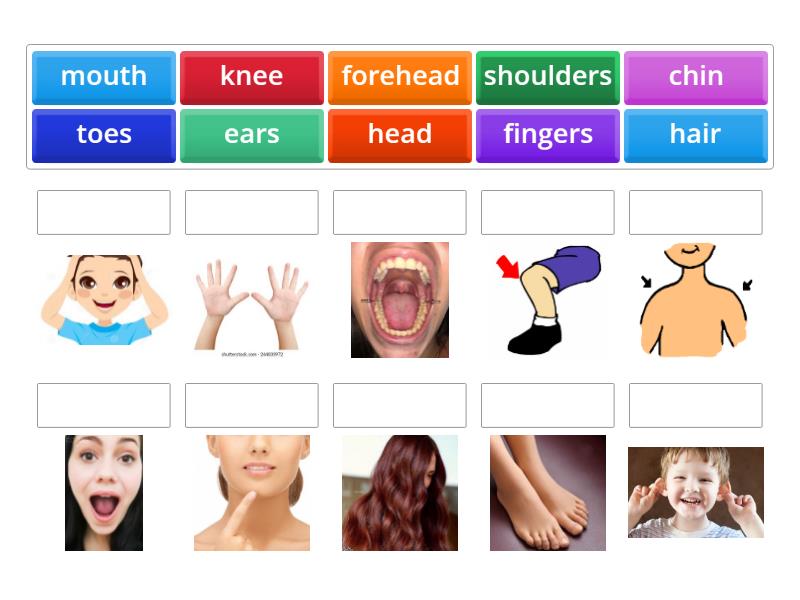Parts of Body - Match up