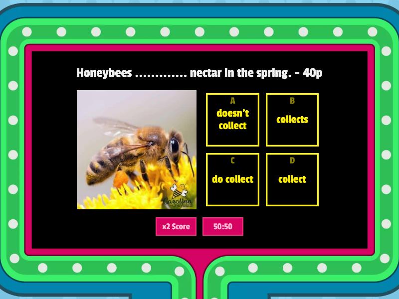 Simple Present - Do & Does - + / - / ? - Gameshow quiz