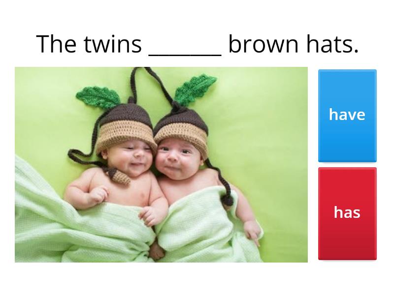Lesson 3 - Grammar (have / has) - Quiz