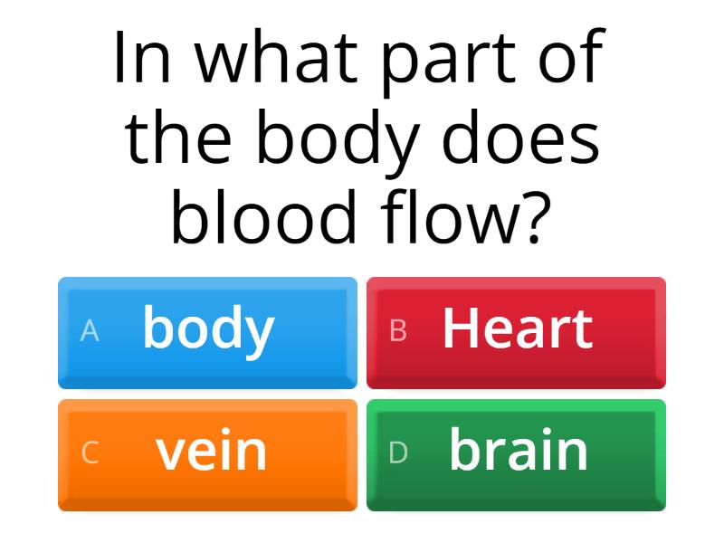 circulatory system - Quiz