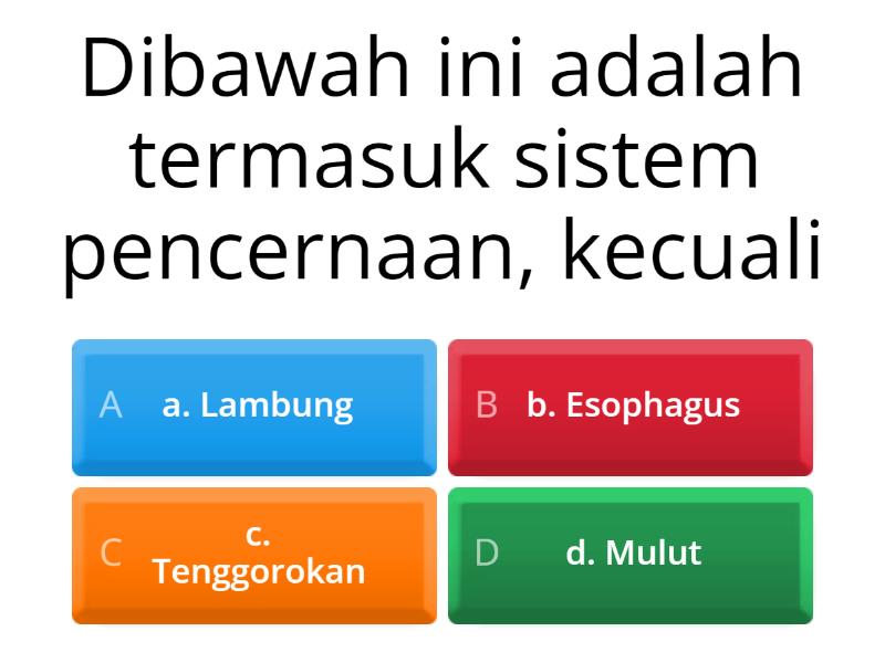 Pre test - Quiz