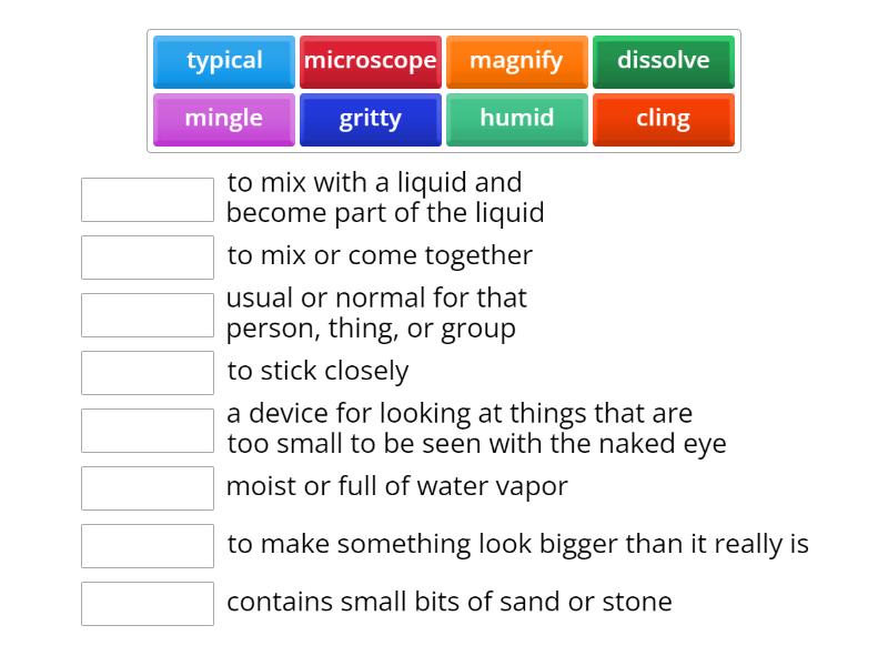 Unit 5 Weeks 1 and 2 Vocabulary - Match up
