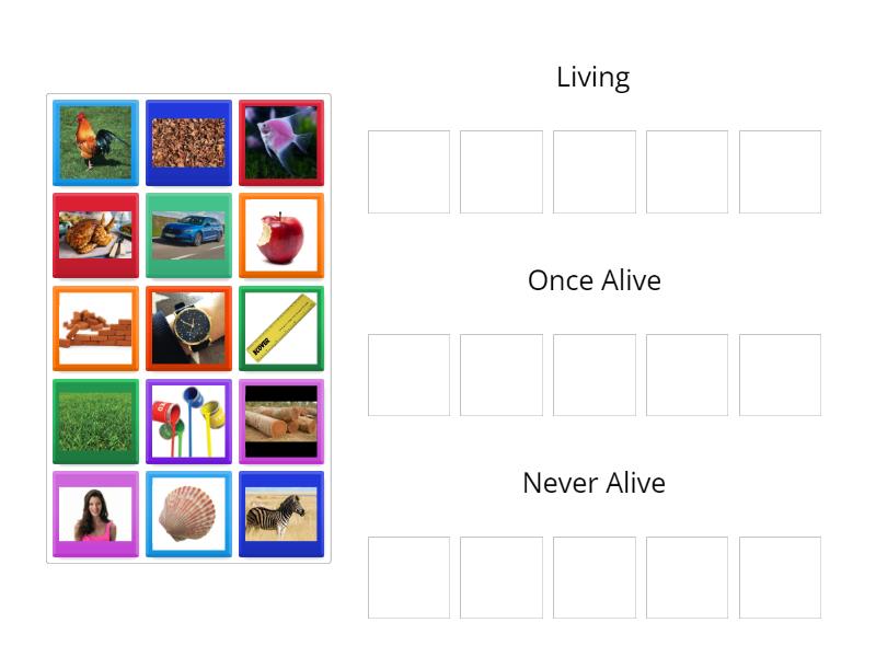 Alive, once alive or never alive? - Group sort