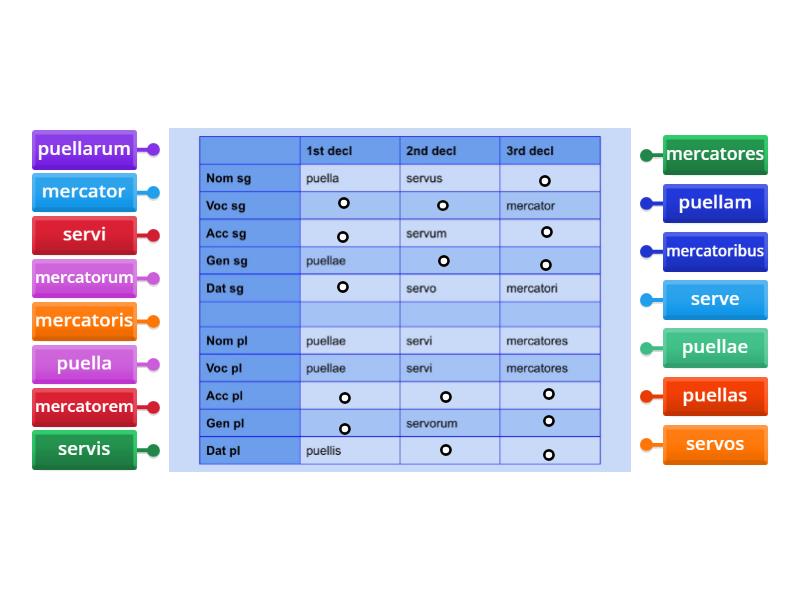 Latin Cases Quiz - Labelled diagram