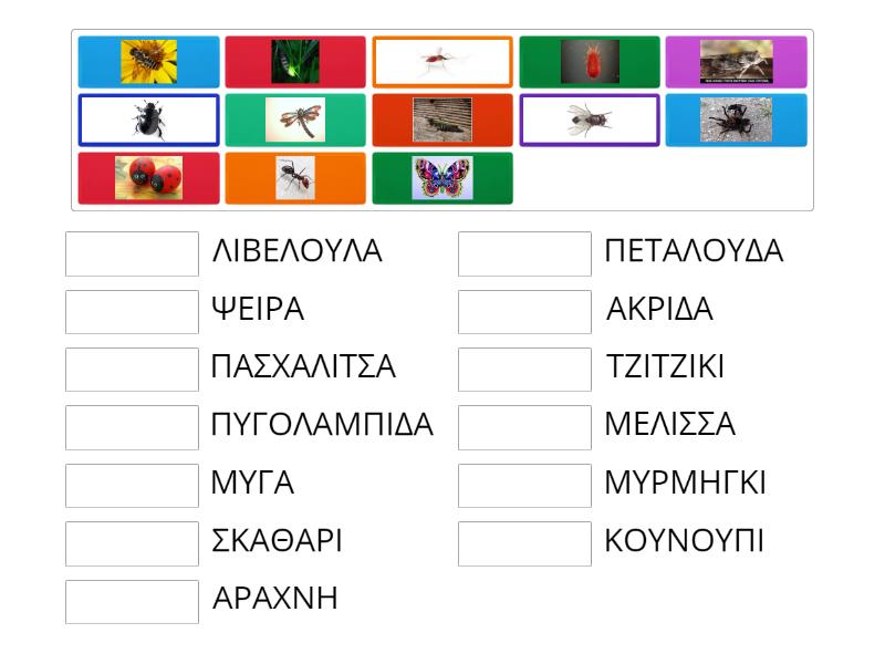 εντομα - Match up