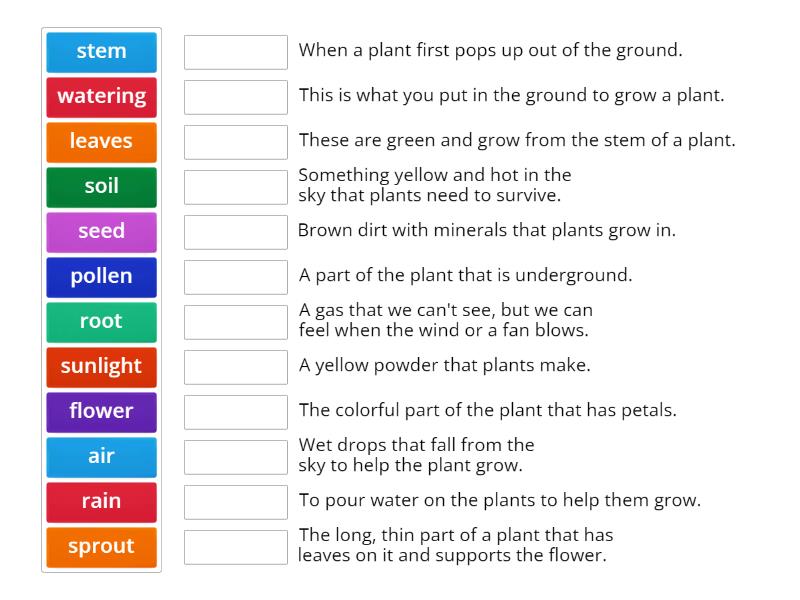 Planting Vocabulary definitions - Match up