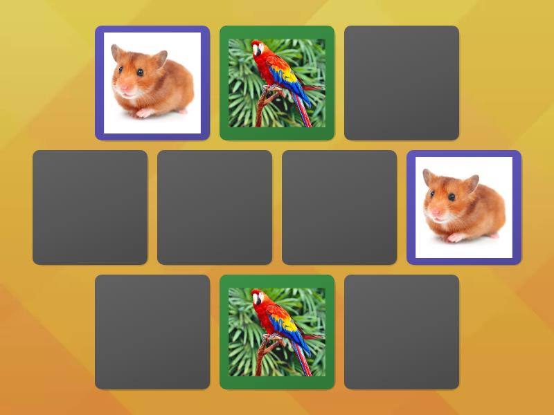 Animals - Matching pairs
