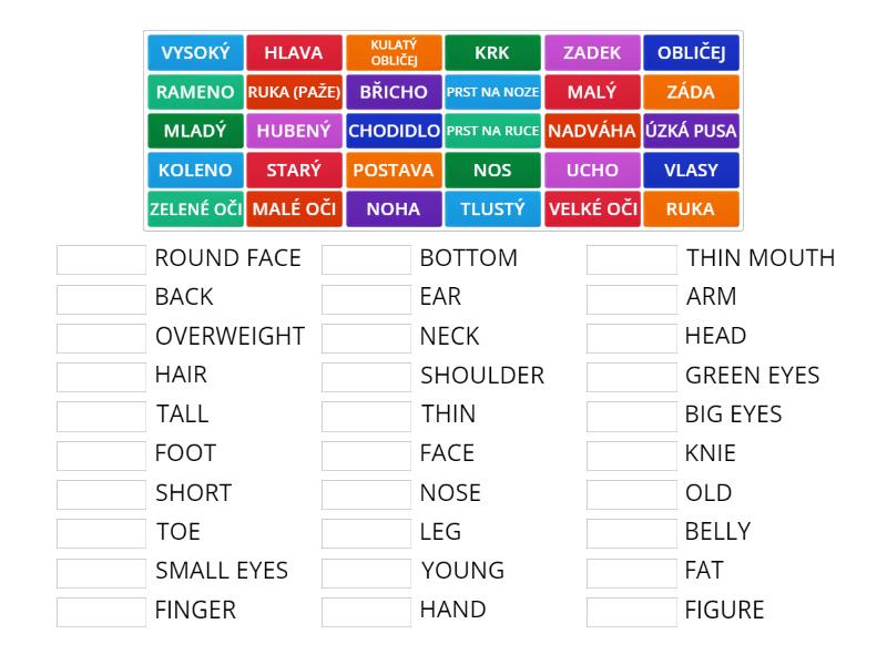 HUMAN BODY - Match up