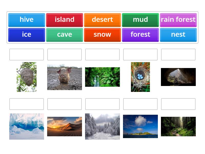 Animal habitats - Match up