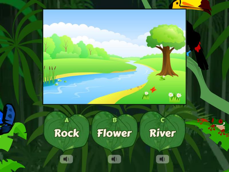 Nature - Quiz