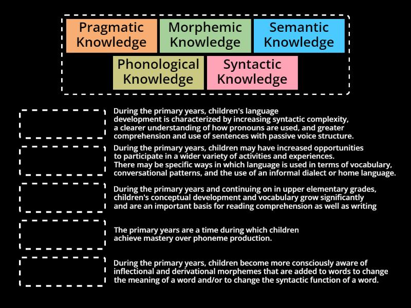Chapter Ten Developmental Phases Review - Match up