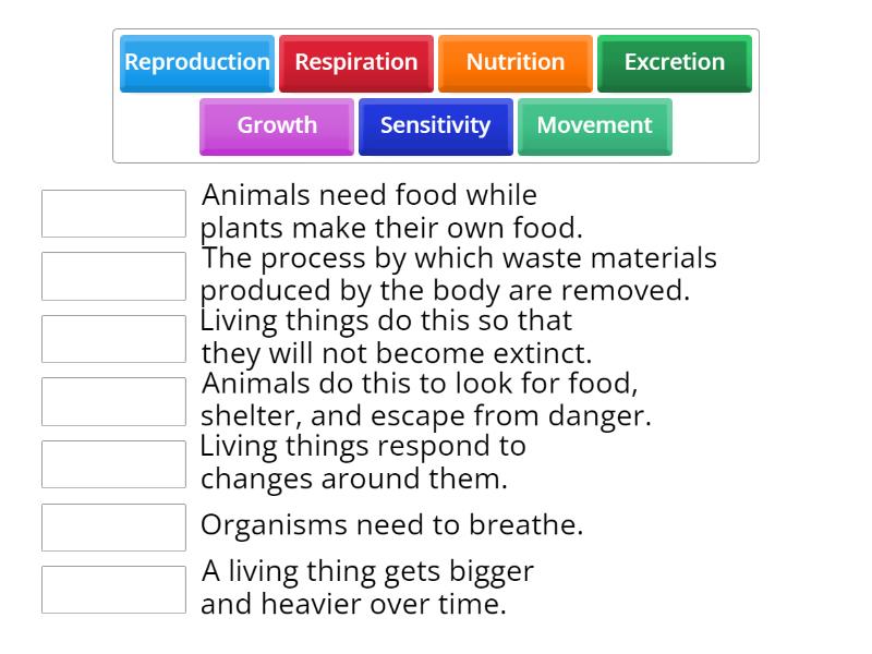 7 Processes of Life - Match up